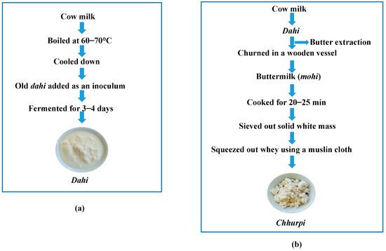 Isolation of Yeasts from Some Homemade Fermented Cow-Milk Products of ...
