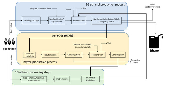 Integrating 1G with 2G Bioethanol Production by Using Distillers’ Dried ...