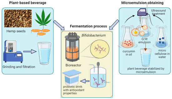 Fermented Plant Beverages Stabilized with Microemulsion: Confirmation ...