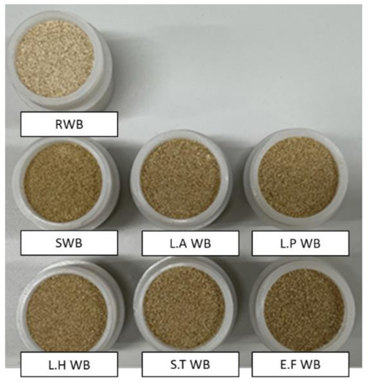 Influence of Lactobacillus (LAB) Fermentation on the Enhancement of ...