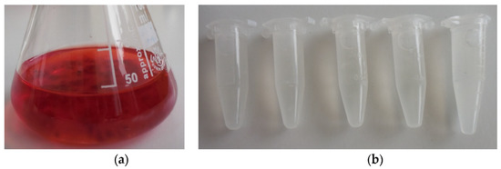 Fermentation | Free Full-Text | Scale-Up of Pigment Production by the ...