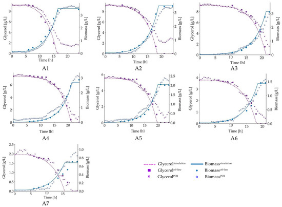 Online Process State Estimation for Hansenula polymorpha Cultivation ...