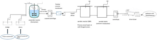 Hazop Analysis of a Bioprocess for Polyhydroxyalkanoate (PHA ...