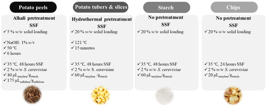 Optimisation of Bioethanol Production in a Potato Processing Industry