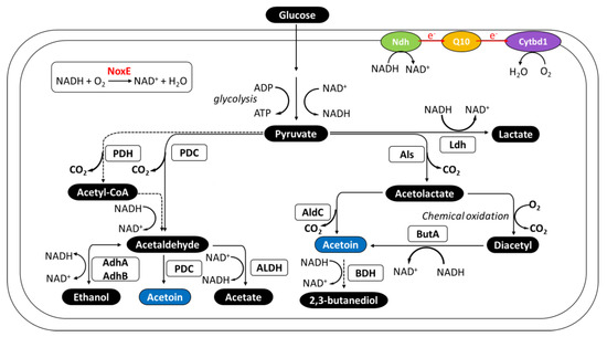 Metabolic Engineering of Zymomonas mobilis for Acetoin Production by ...