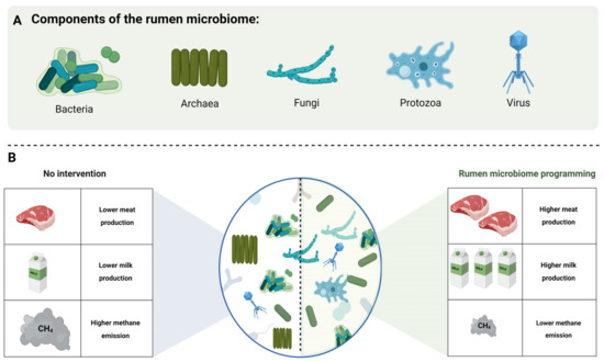 In Pursuit of Understanding the Rumen Microbiome