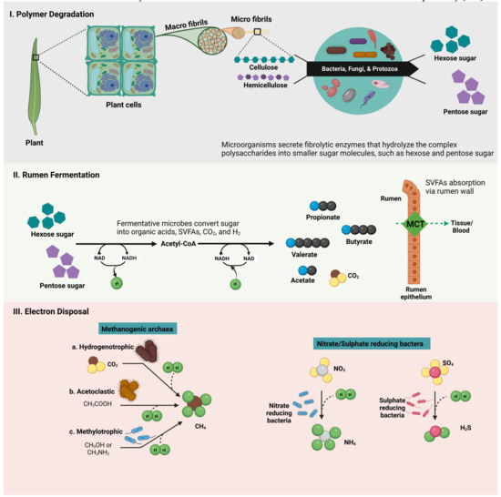 In Pursuit of Understanding the Rumen Microbiome