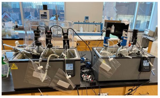 Comparing VFA Composition, Biomethane Potential, and Methane Production ...