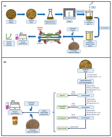 In-House Extracted Soybean Protein Can Reduce the Enzyme Dosage in ...