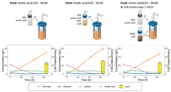 Bioconversion of a Lignocellulosic Hydrolysate to Single Cell Oil for ...