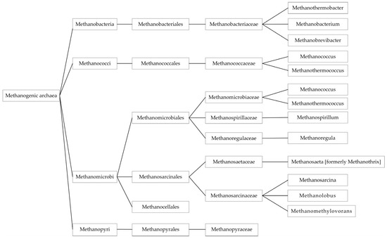 Microbial Behavior and Influencing Factors in the Anaerobic Digestion ...