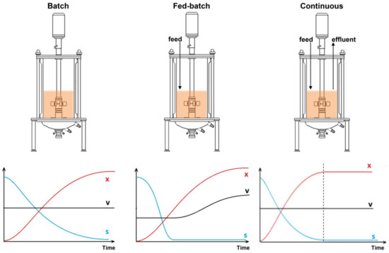 Model Predictive Control—A Stand Out among Competitors for Fed-Batch Fermentation Improvement