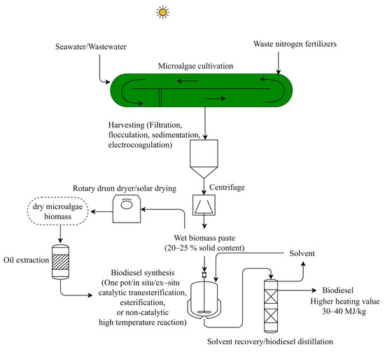Microalgal Feedstock for Biofuel Production: Recent Advances ...