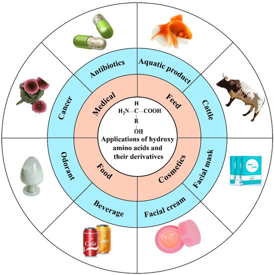 Recent Advances in the Hydroxylation of Amino Acids and Its Derivatives
