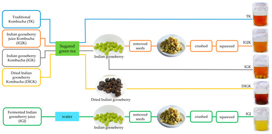 Enhancing the Chemical Composition of Kombucha Fermentation by Adding ...