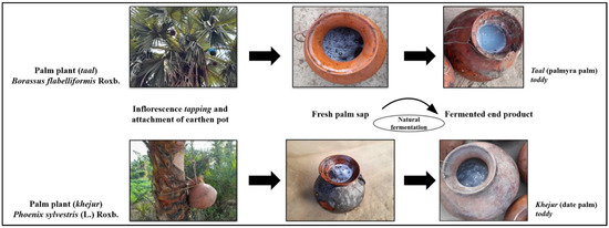 Fermentation Dynamics of Naturally Fermented Palm Beverages of West ...