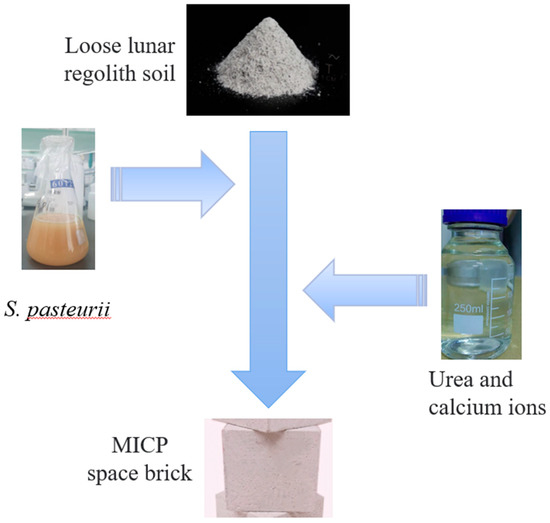 Feasible Utilization of Waste Limestone as a Calcium Source for ...