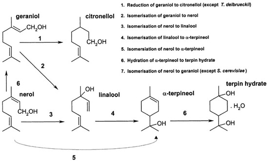 Biotransformations Performed by Yeasts on Aromatic Compounds Provided ...