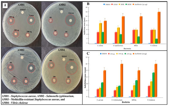 Characterization of the Red Biochromes Produced by the Endophytic ...