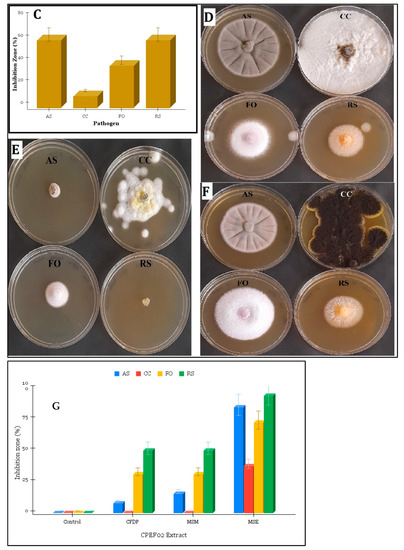 Characterization of the Red Biochromes Produced by the Endophytic ...