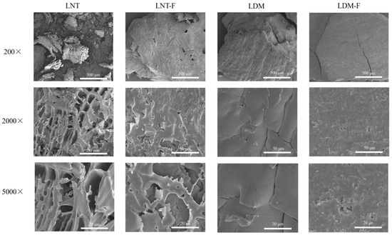 Improved Extraction Yield, Water Solubility, and Antioxidant Activity ...
