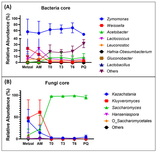 Analysis of the Microbial Diversity and Population Dynamics during the Pulque Fermentation Process