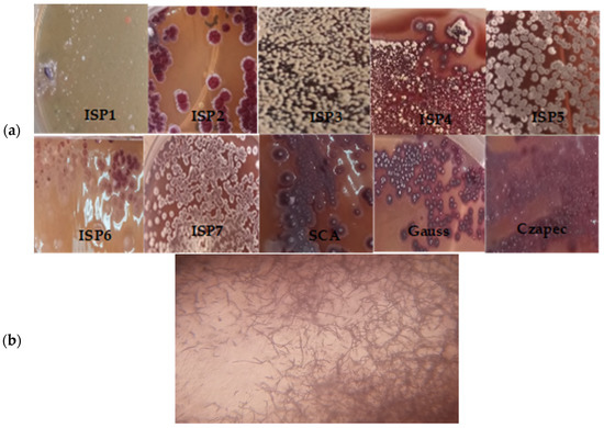Statistical Medium Optimization for the Production of Anti-Methicillin ...