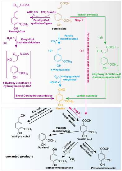 Current Status, Challenges, and Prospects for the Biological Production ...