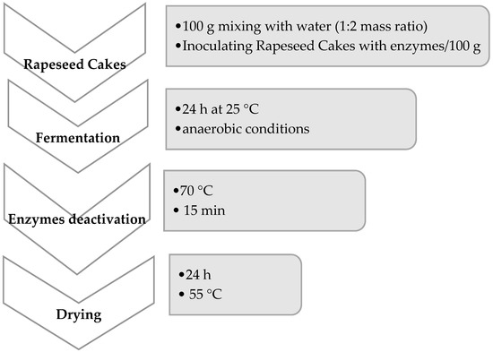 The Effect of Solid-State Fermentation on the Nutritive Value of ...