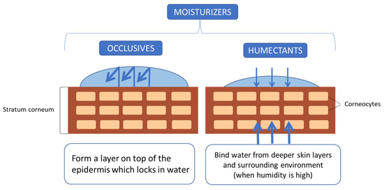 Unlocking the Potential of Fermentation in Cosmetics: A Review