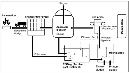 Microbiome Characterization after Aerobic Digestate Reactivation of ...