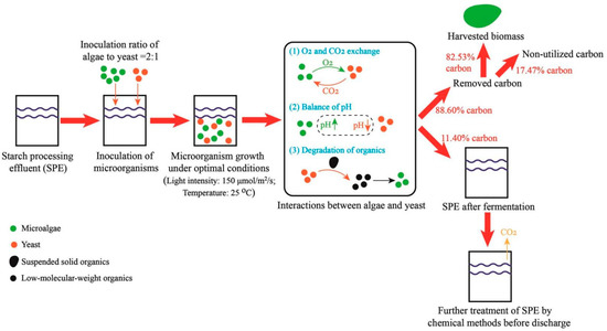 Co-Fermentation of Chlorella vulgaris with Oleaginous Yeast in Starch ...