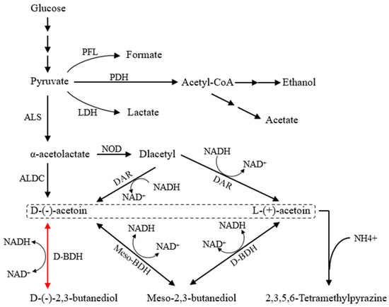 Engineered Bacillus subtilis for the Production of Tetramethylpyrazine ...