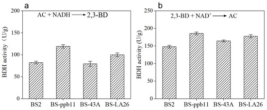 Engineered Bacillus subtilis for the Production of Tetramethylpyrazine ...