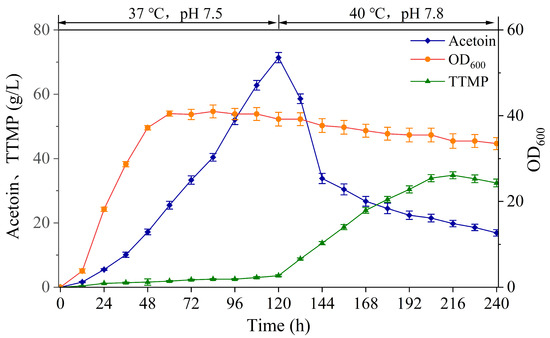 Engineered Bacillus subtilis for the Production of Tetramethylpyrazine ...