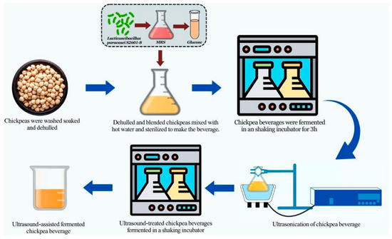 Efficacy of Ultrasound-Assisted Lactic Acid Fermentation and Its Effect ...
