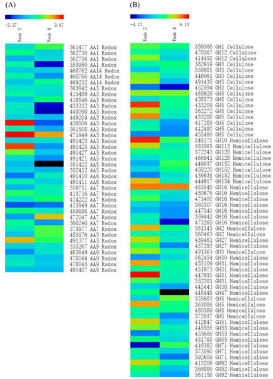 Lytic Polysaccharide Monooxygenases from Serpula lacrymans as Enzyme ...