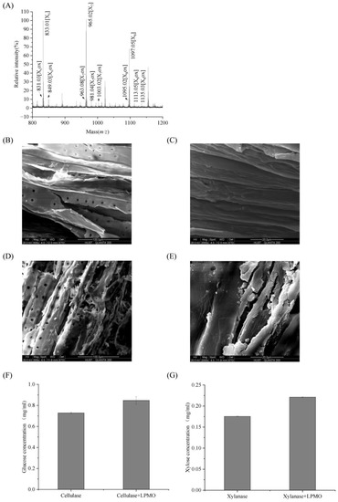 Lytic Polysaccharide Monooxygenases from Serpula lacrymans as Enzyme ...