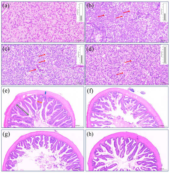 Effect of Replacing Fish Meal Using Fermented Soybean Meal on Growth ...