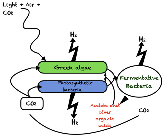 Premier, Progress and Prospects in Renewable Hydrogen Generation: A Review