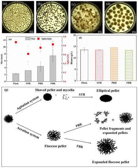 Comparison of Raspberry Ketone Production via Submerged Fermentation in ...