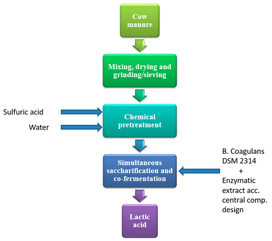 Lactic Acid Production from Cow Manure: Experimental Process Conditions ...