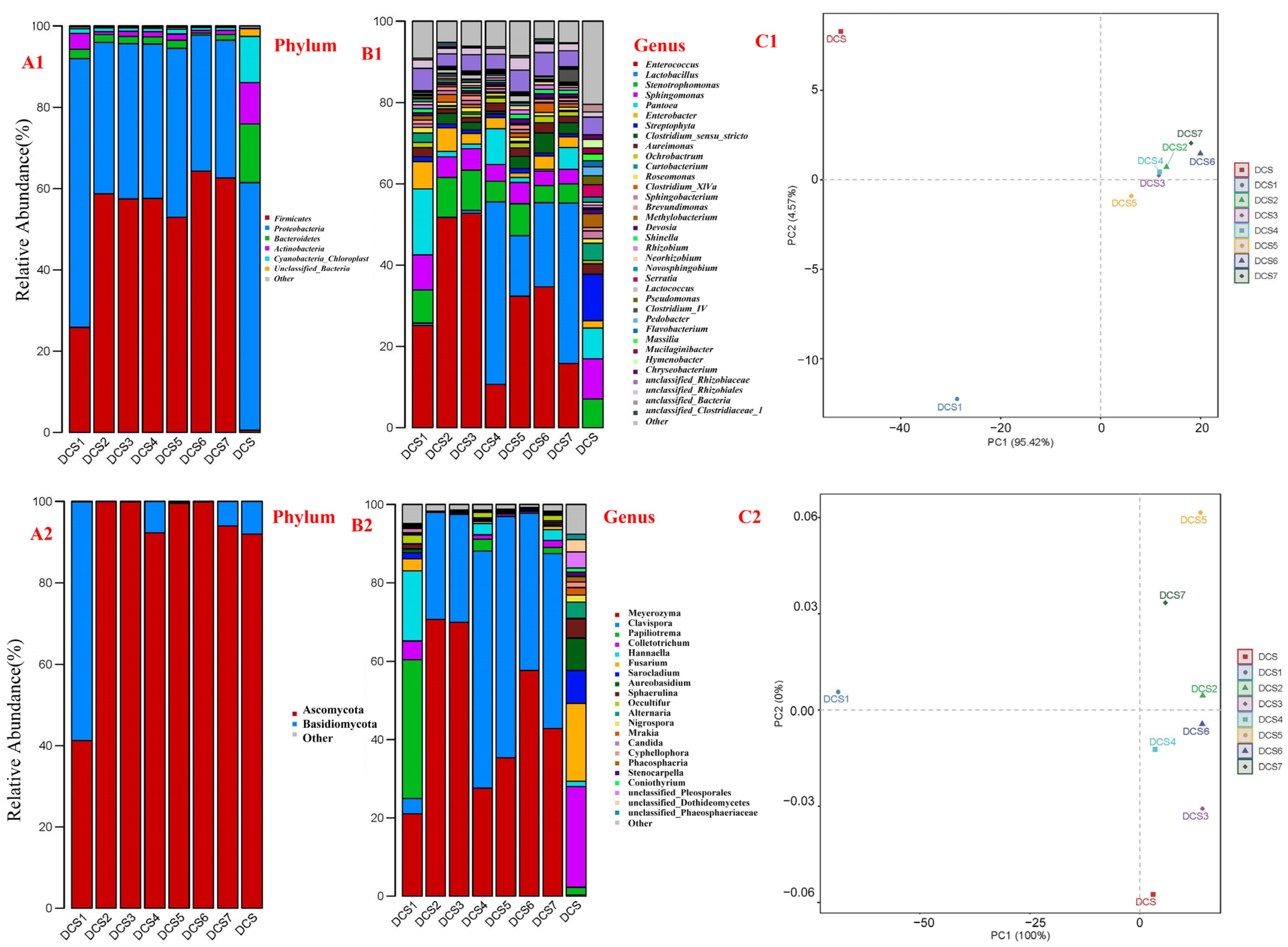 Fermentative L-Lactic Acid Production Using Bacillus coagulans from ...