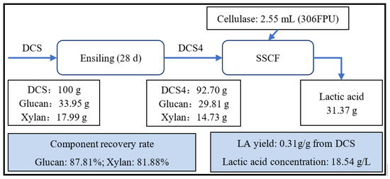 Fermentative L-Lactic Acid Production Using Bacillus coagulans from ...