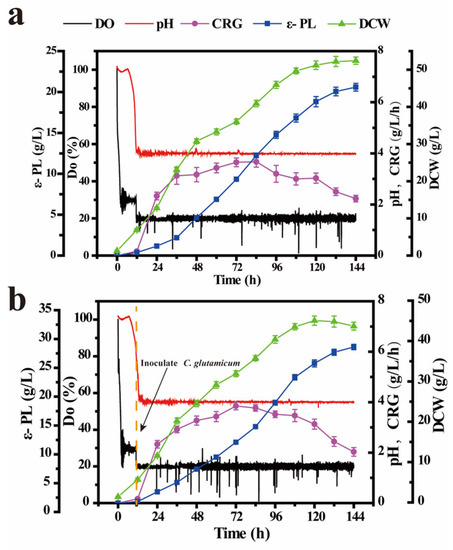 Improvement of ε-Poly-l-lysine Production by Co-Culture Fermentation ...