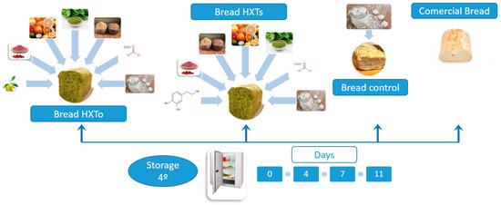 Development of Gluten-Free Functional Bread Adapted to the Nutritional ...