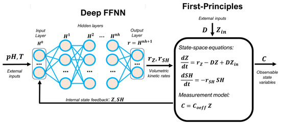 Hybrid Deep Modeling of a GS115 (Mut+) Pichia pastoris Culture with State–Space Reduction