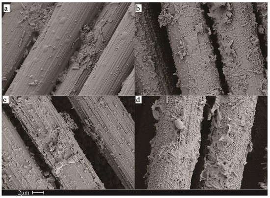 Enhanced CO2 Reduction by Electron Shuttle Molecules via Coupling ...