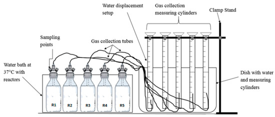 Fermentation | Free Full-Text | Investigating the Anaerobic Digestion ...