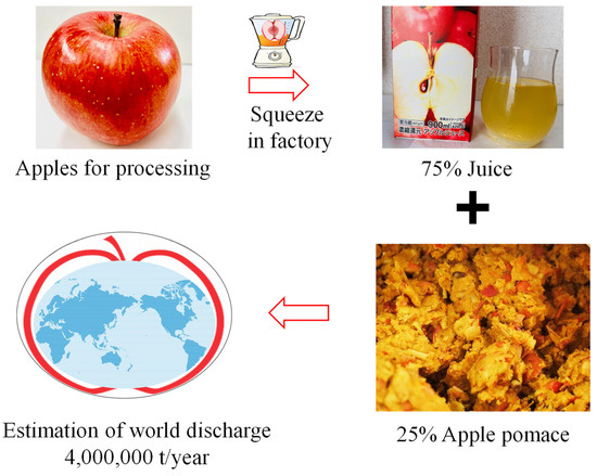 Fermentation Regulation and Ethanol Production of Total Mixed Ration ...